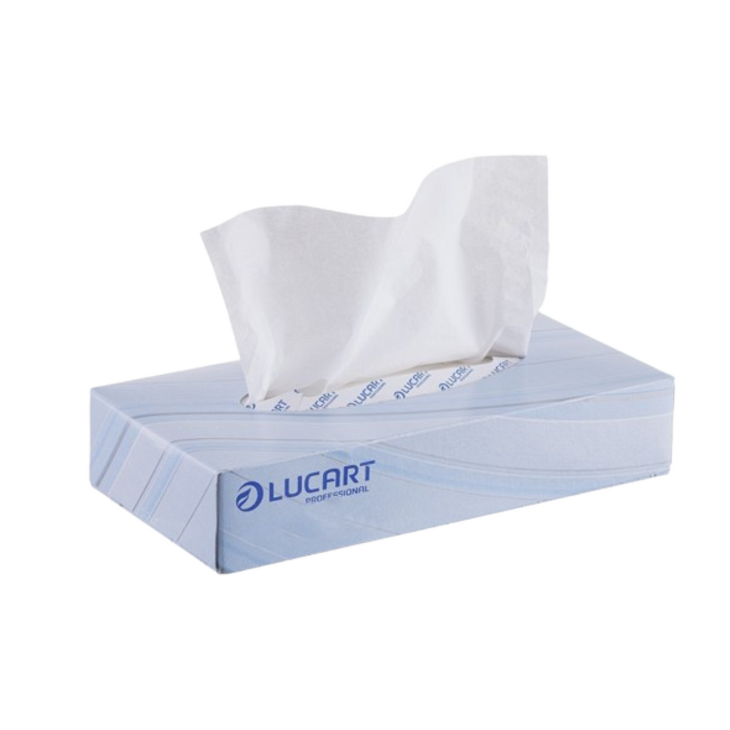 Facial Tissues 2 Ply 100 Sheets (Pack Of 36) | QUDENT