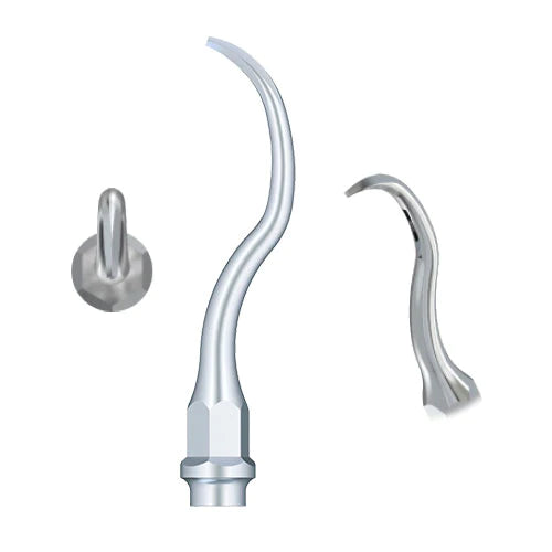 Kavo Compatible Scaler Tips PC1 by Woodpecker | QUDENT